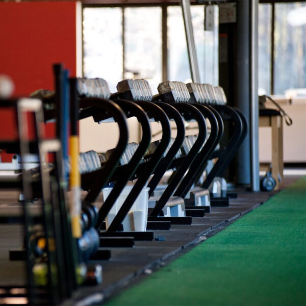 Hitting Development (Ma) - CSP