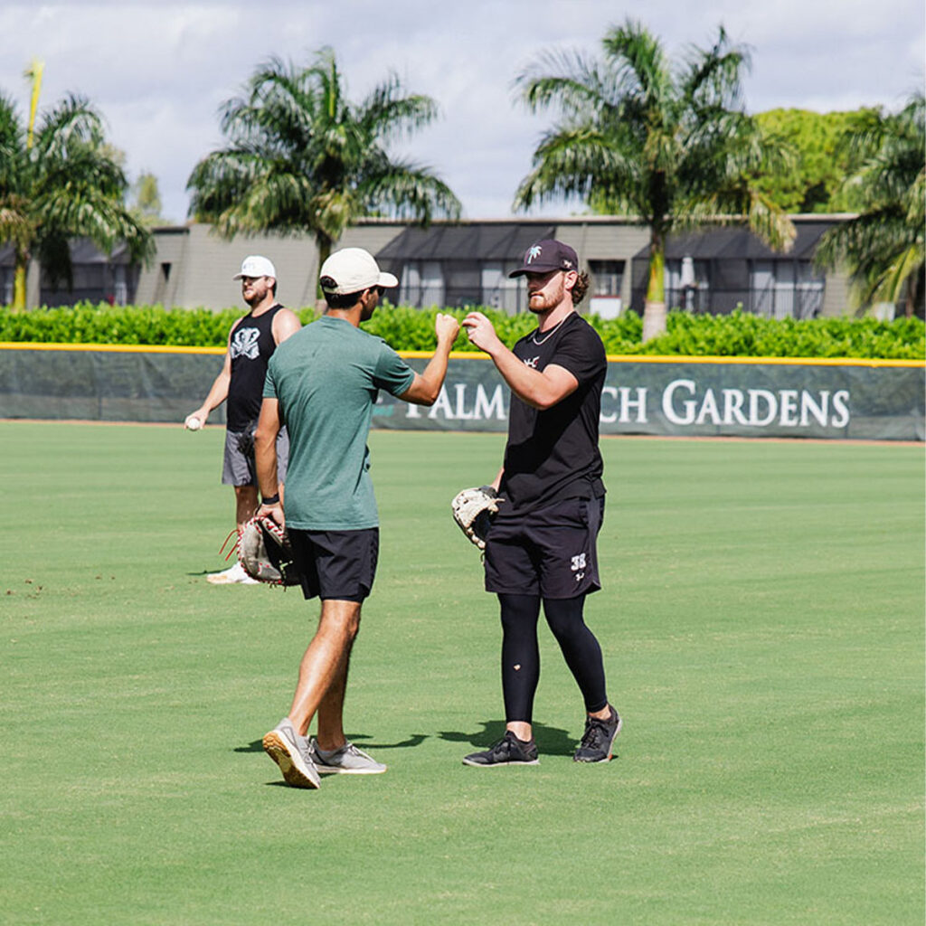 Pitching Development - CSP