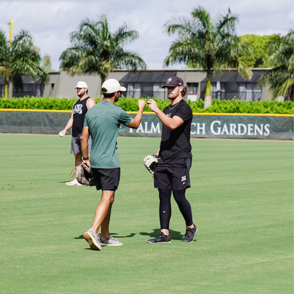 Pitching Development - CSP